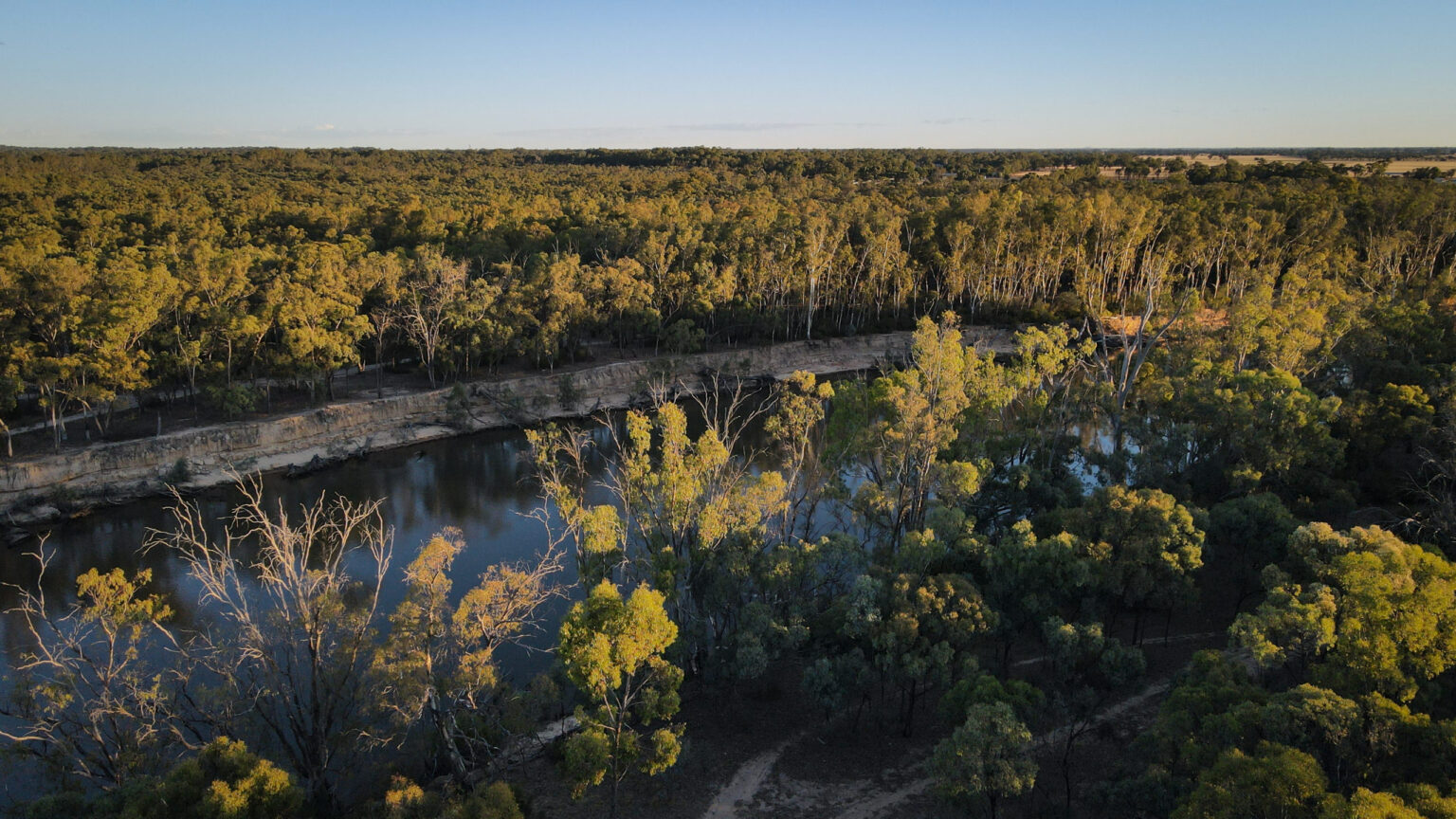 PS Australian Star – Luxury Murray River Cruises & Onshore Tours